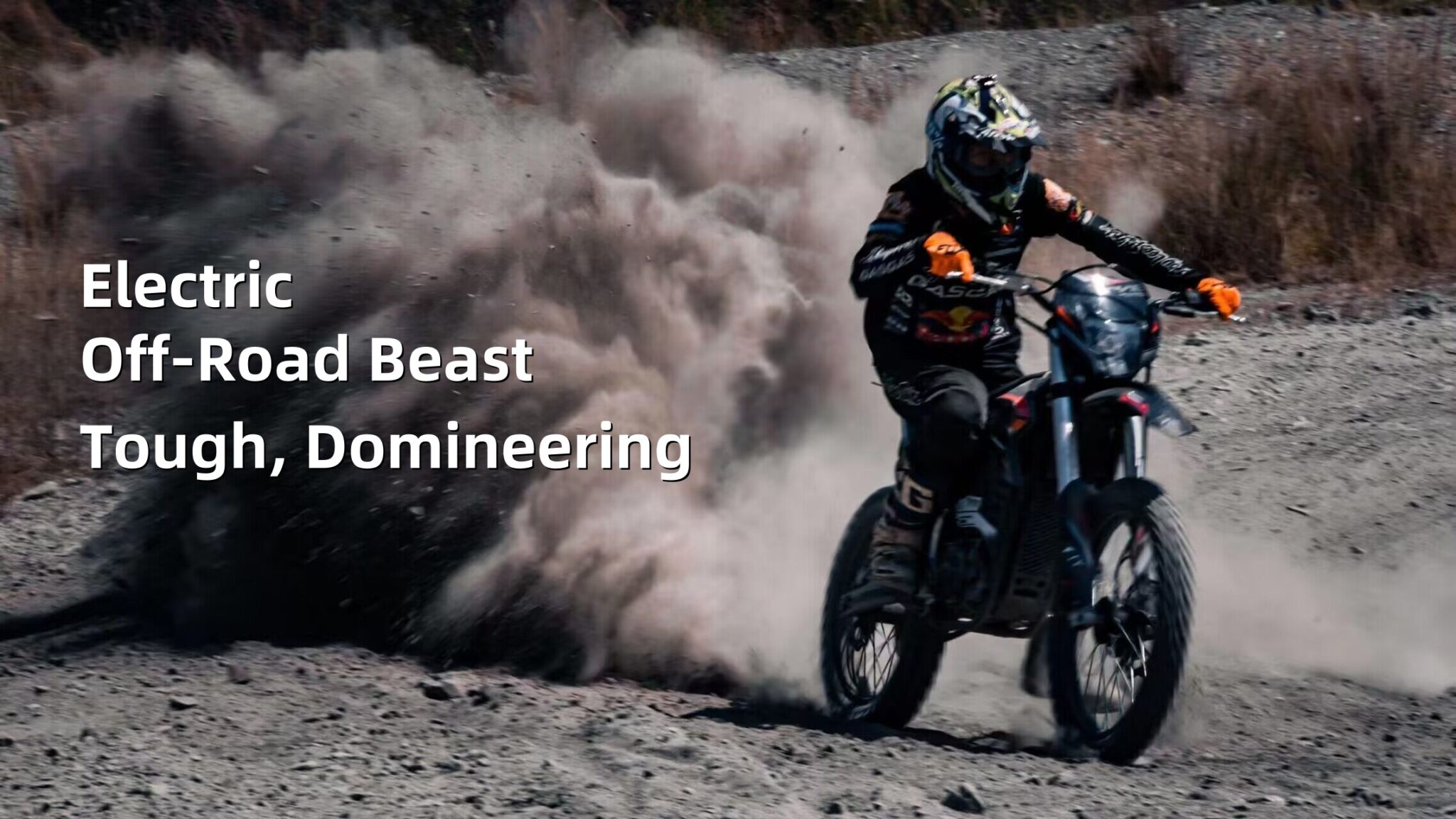 Electric Cross Moto Bike